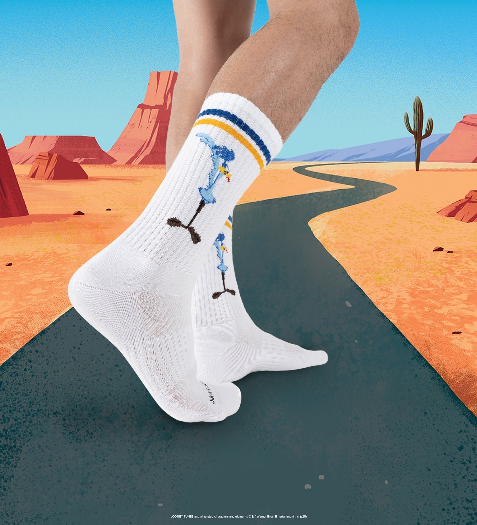 Revisiting a Cartoon Classic: Looney Tunes™ | Magazine Jimmy Lion