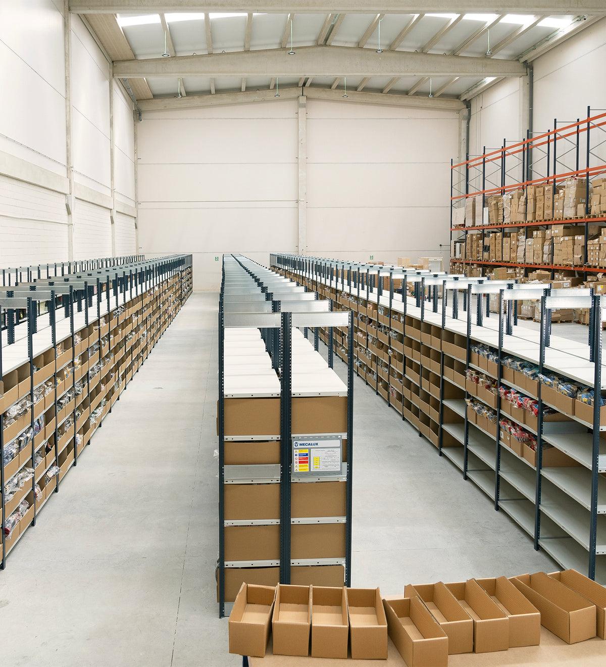 Behind the Scenes: Our Warehouse | Magazine Jimmy Lion – Jimmy Lion - US