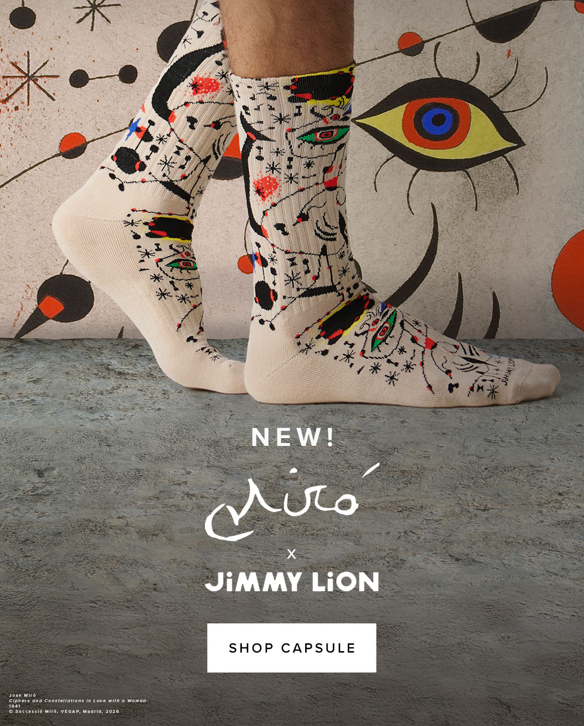 Cool & Unique Socks Online for Men, Women & Kids – Jimmy Lion