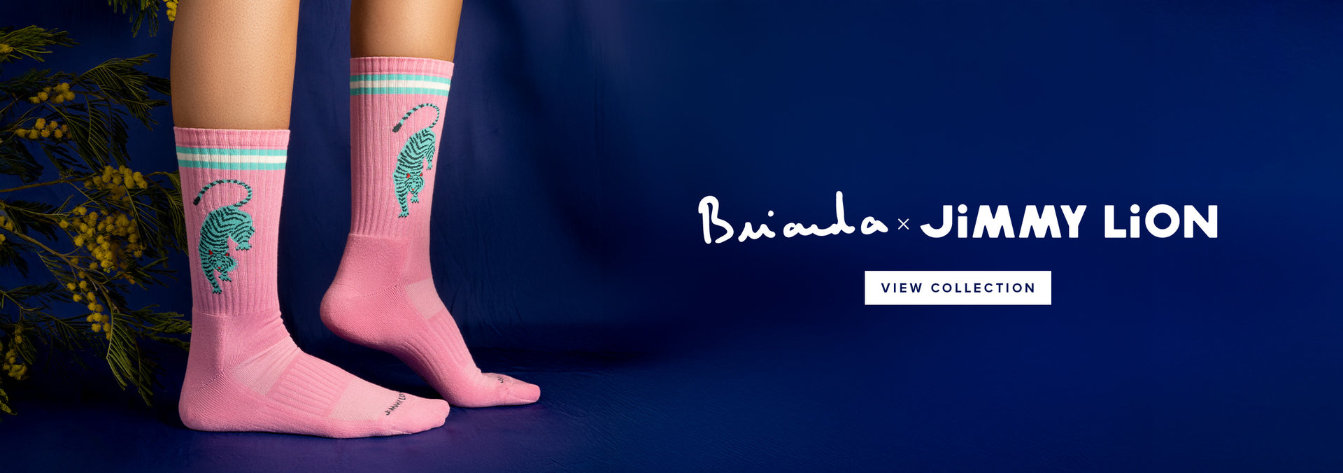 Cool & Unique Socks Online for Men, Women & Kids – Jimmy Lion