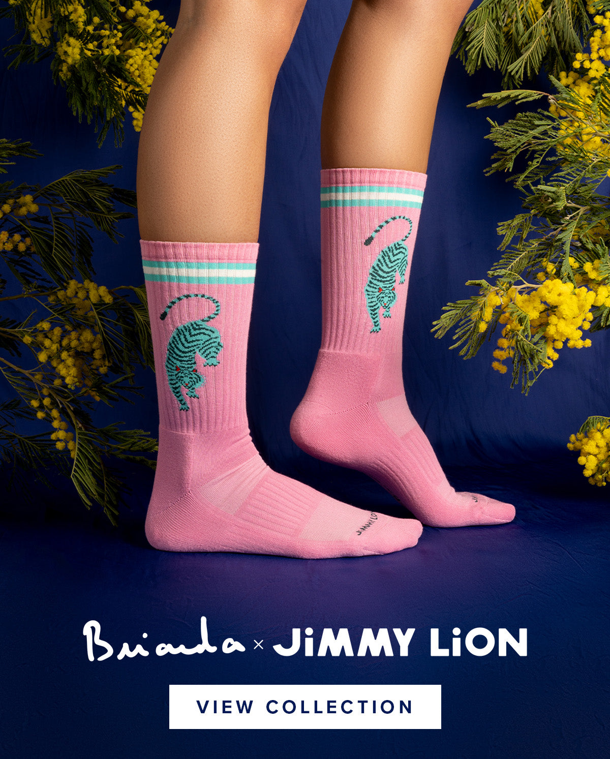 Cool & Unique Socks Online for Men, Women & Kids – Jimmy Lion